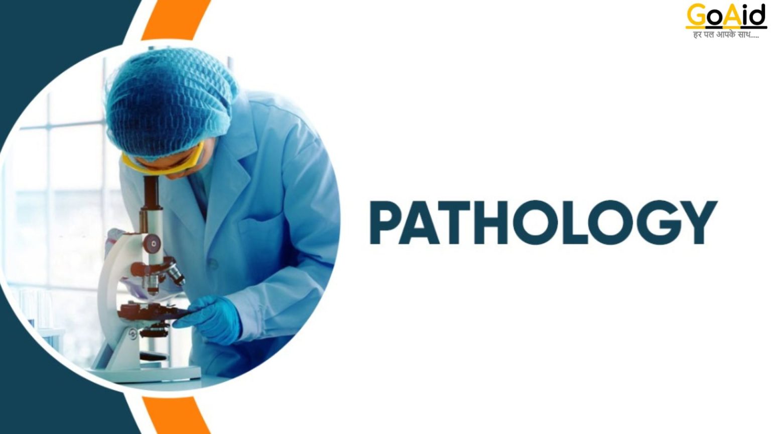 List of Hospital Departments | Detailed Information