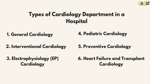 Complete Guide to the Cardiology Department in Hospitals | Roles, Types ...